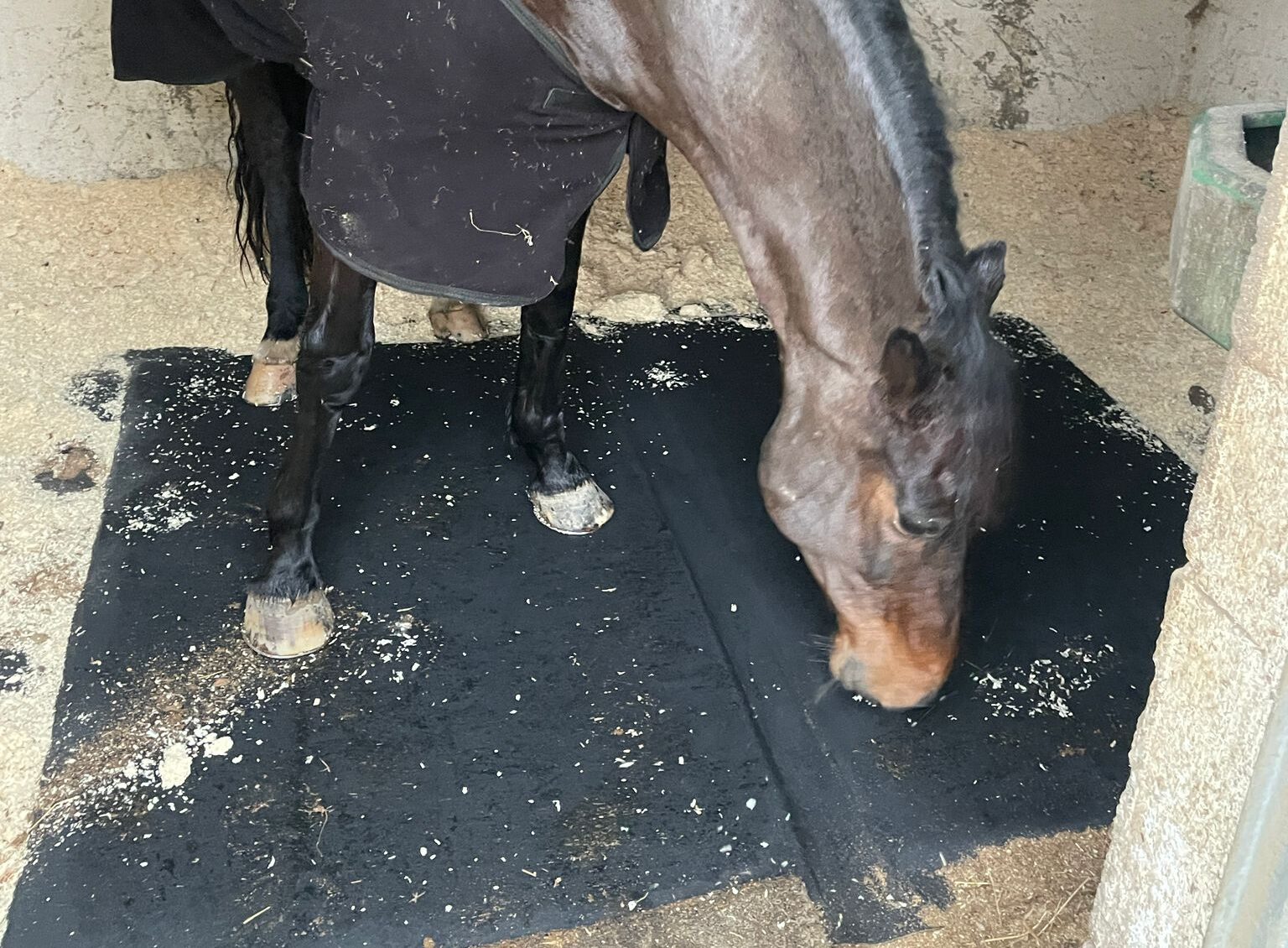 Equifold - Portable competition mattress for horses